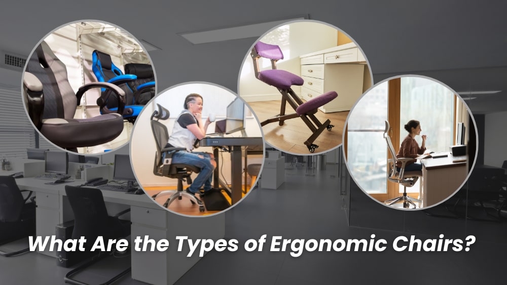 10 Best Ergonomic Chairs: Which Type Should You Choose? - ZUOWE
