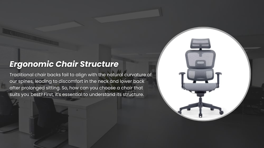 Ergonomic Chair Structure, How to Choose? - ZUOWE